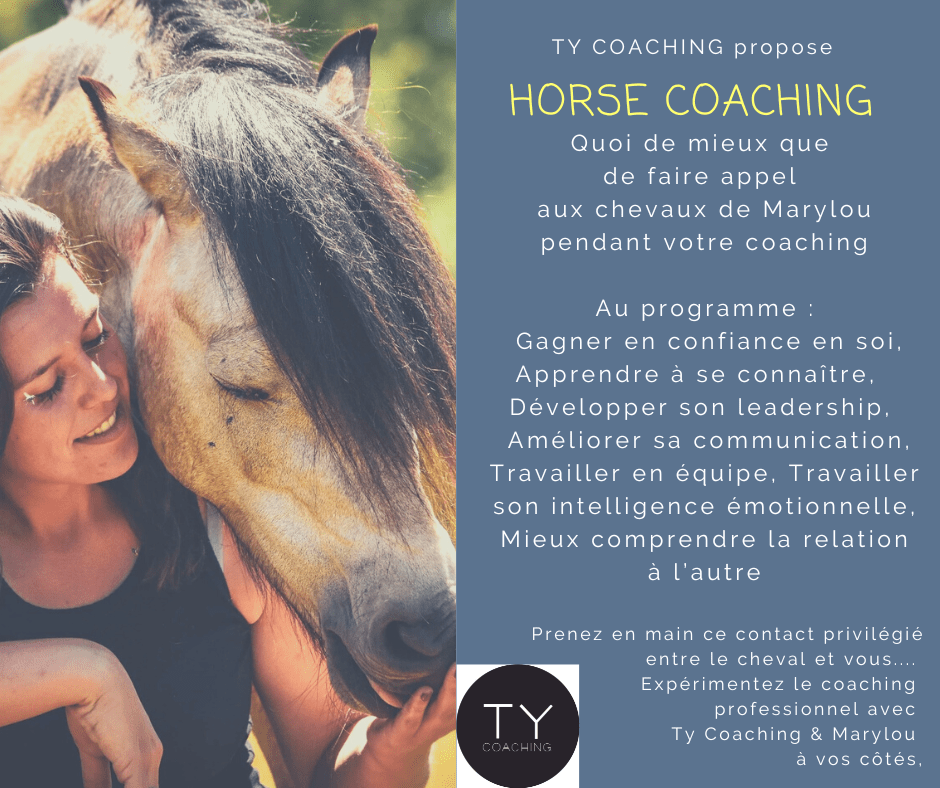 Horse Coaching - TY COACHING